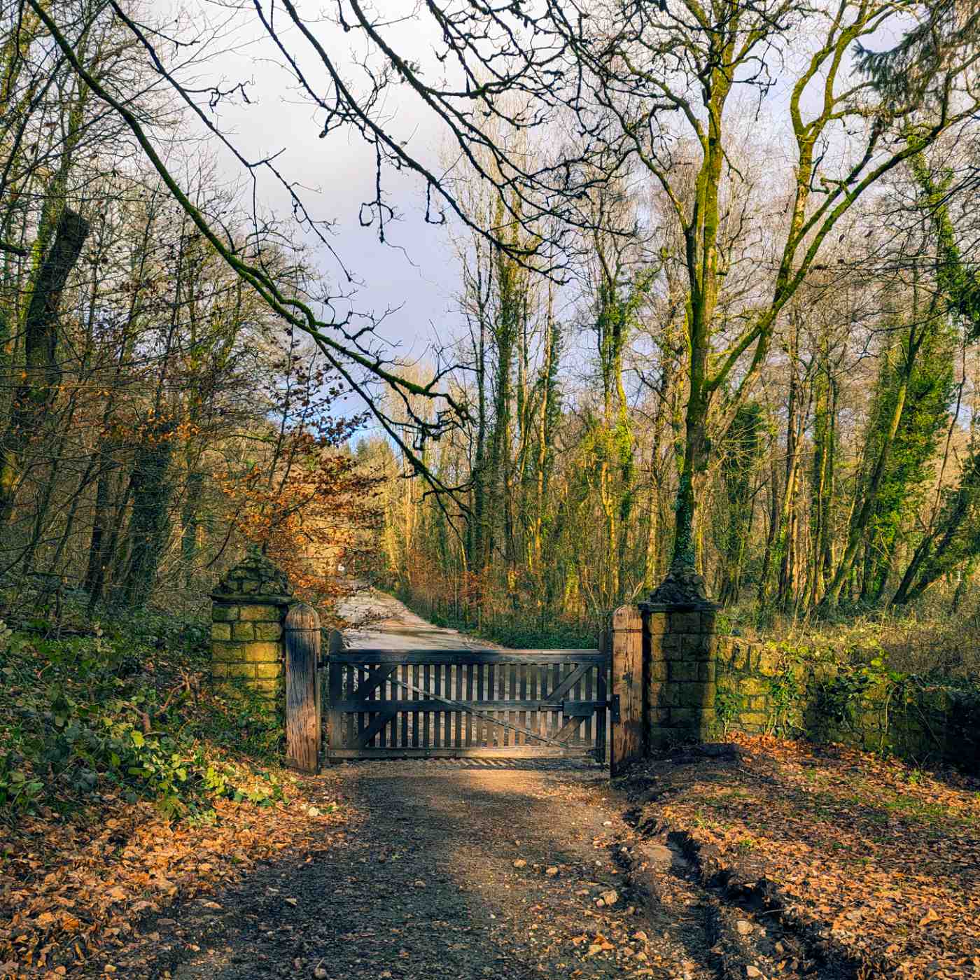 18 February 2024 – Cardiff Trails