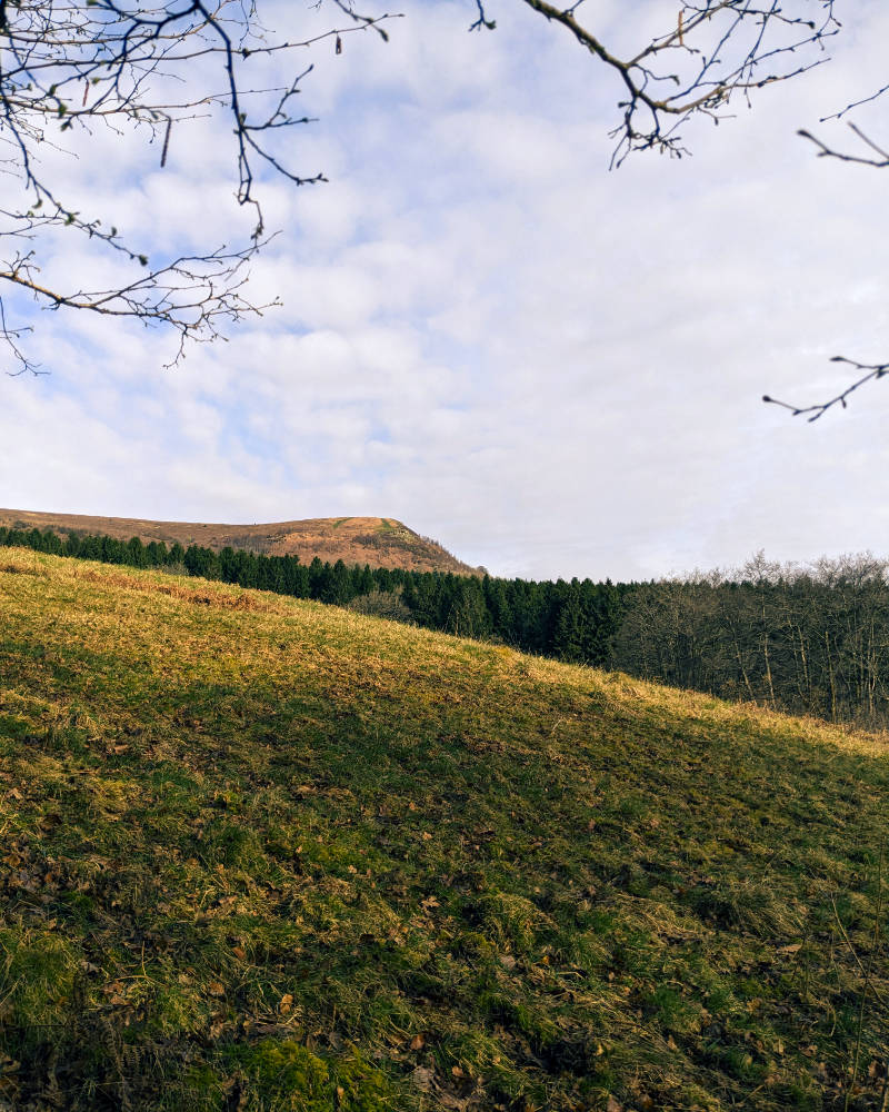 29 March 2025 – Cardiff Trails